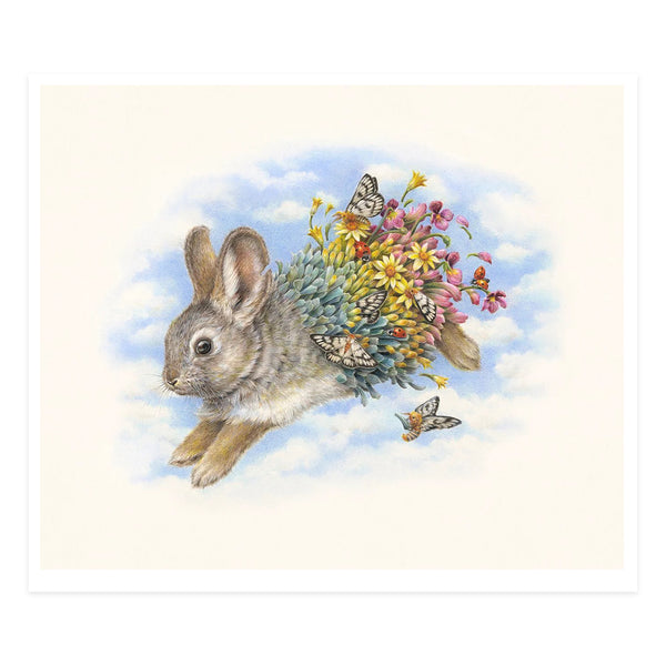 Columbia Basin Pygmy Rabbit – Outré Gallery