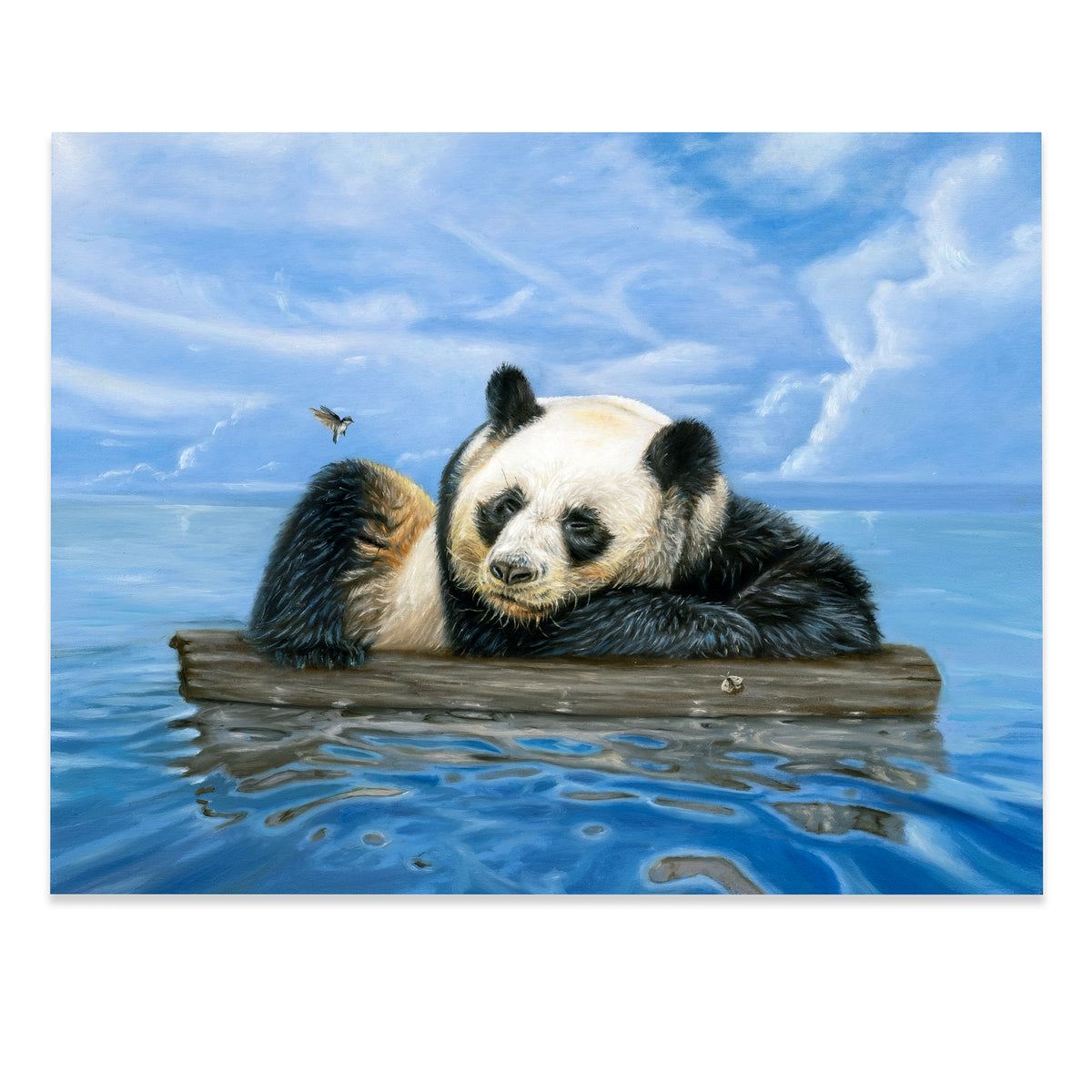Contentment – Outré Gallery