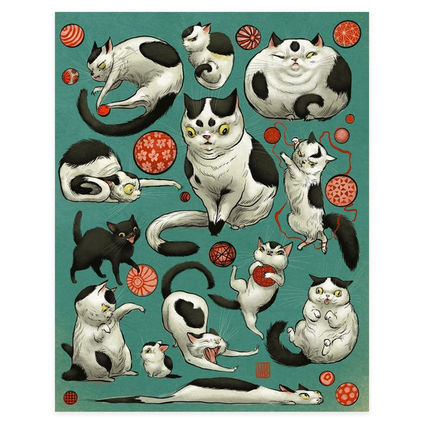 13 Cats – Outré Gallery