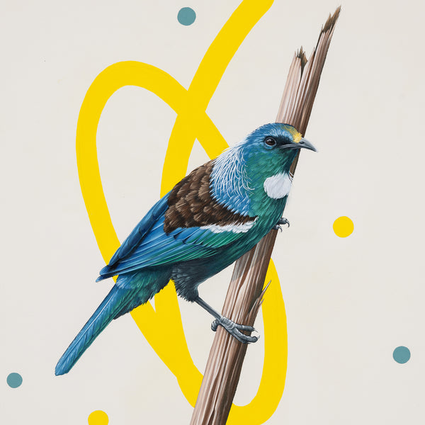 Tui – Outré Gallery