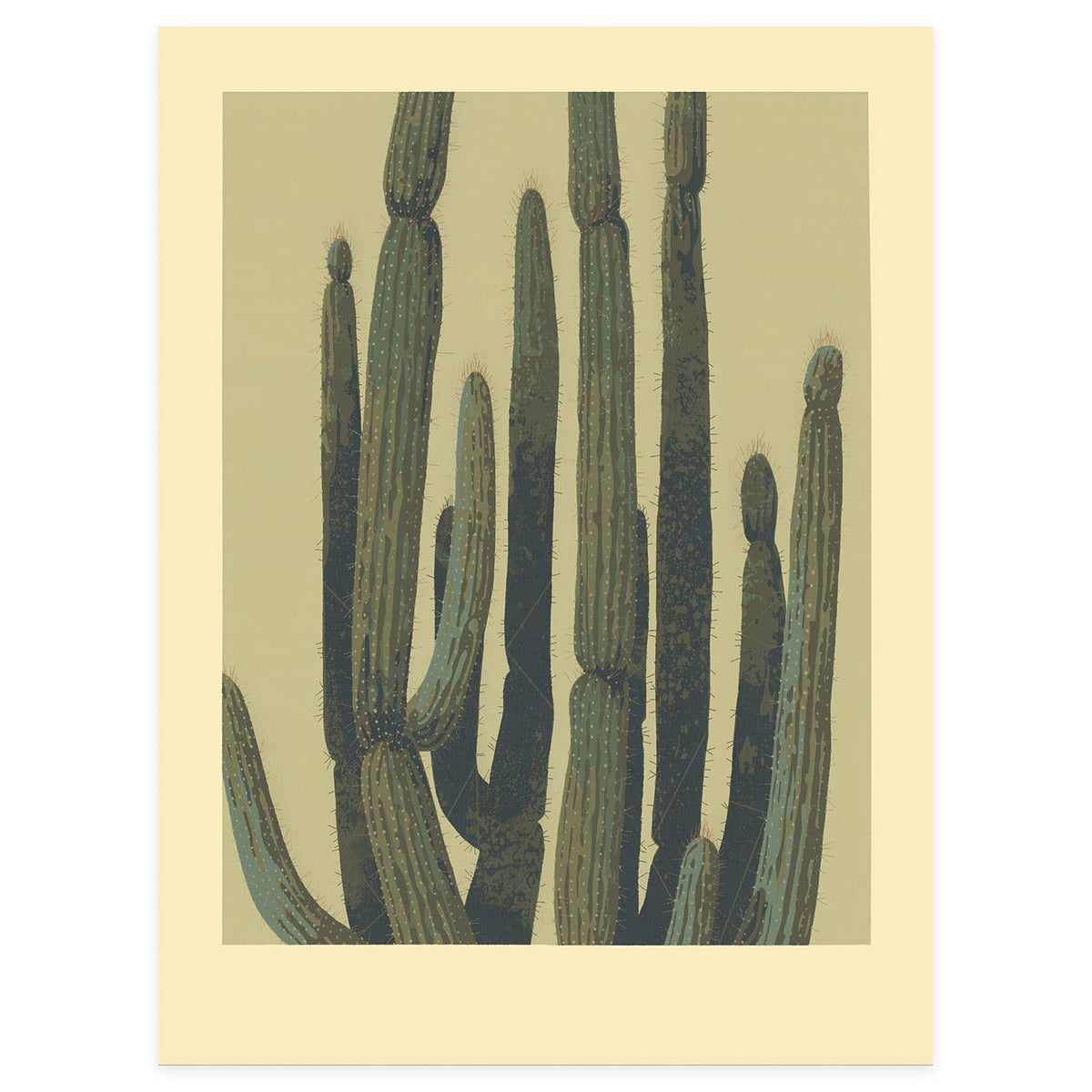 Golden Torch Cactus – Outré Gallery