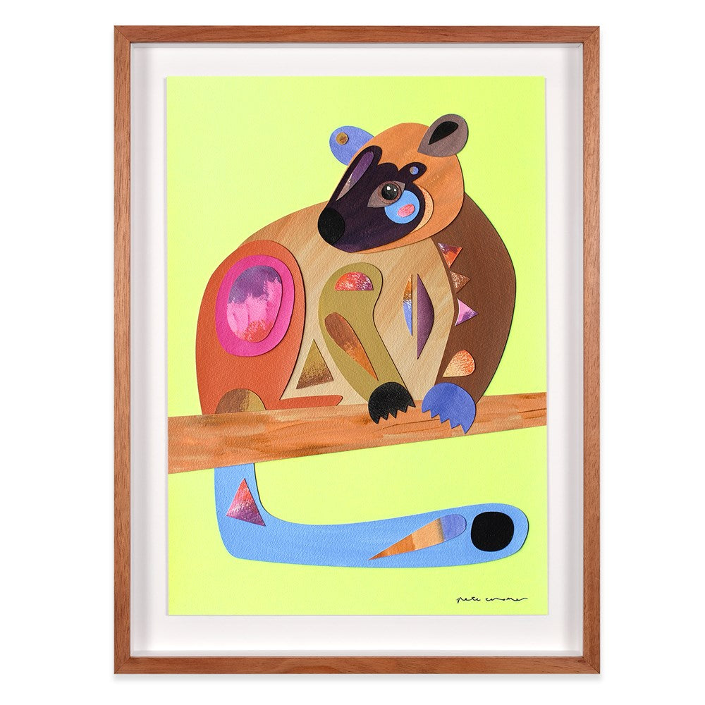 Lumhotlzs Tree Kangaroo – Outré Gallery