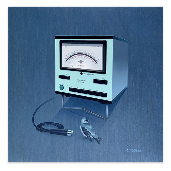 Acoustic Niche – Outré Gallery