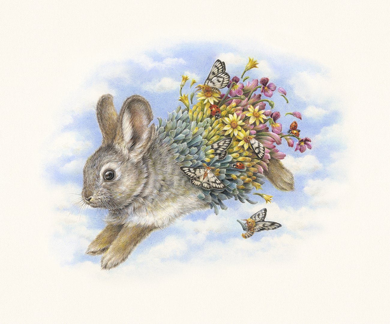 Columbia Basin Pygmy Rabbit – Outré Gallery