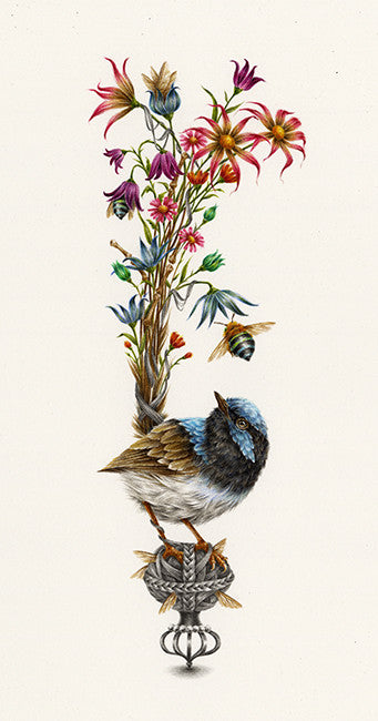 Lure (male) – Outré Gallery