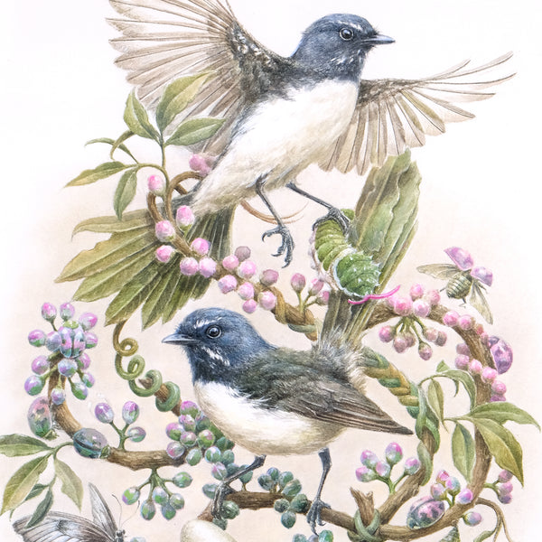 Night song of the Willie Wagtail – Outré Gallery