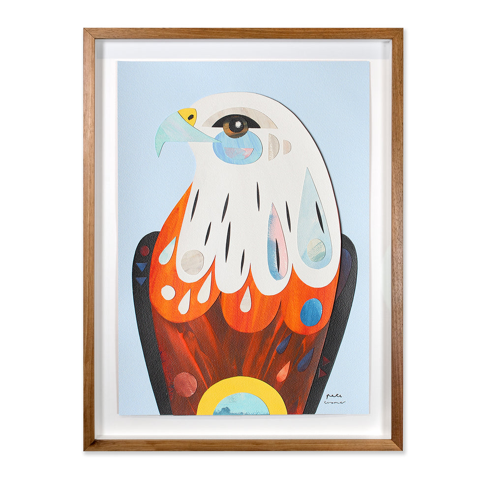 Pete Cromer – Birds of Prey – Outré Gallery